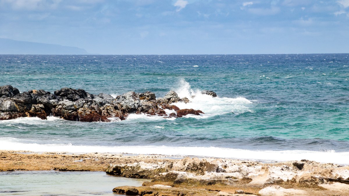 Surfer dies after shark ‘encounter’ in Hawaii – NBC Bay Area