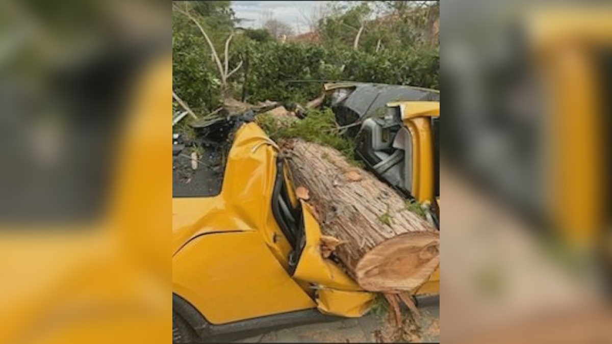 Tree falls on car in Saratoga, injuring girl – NBC Bay Area