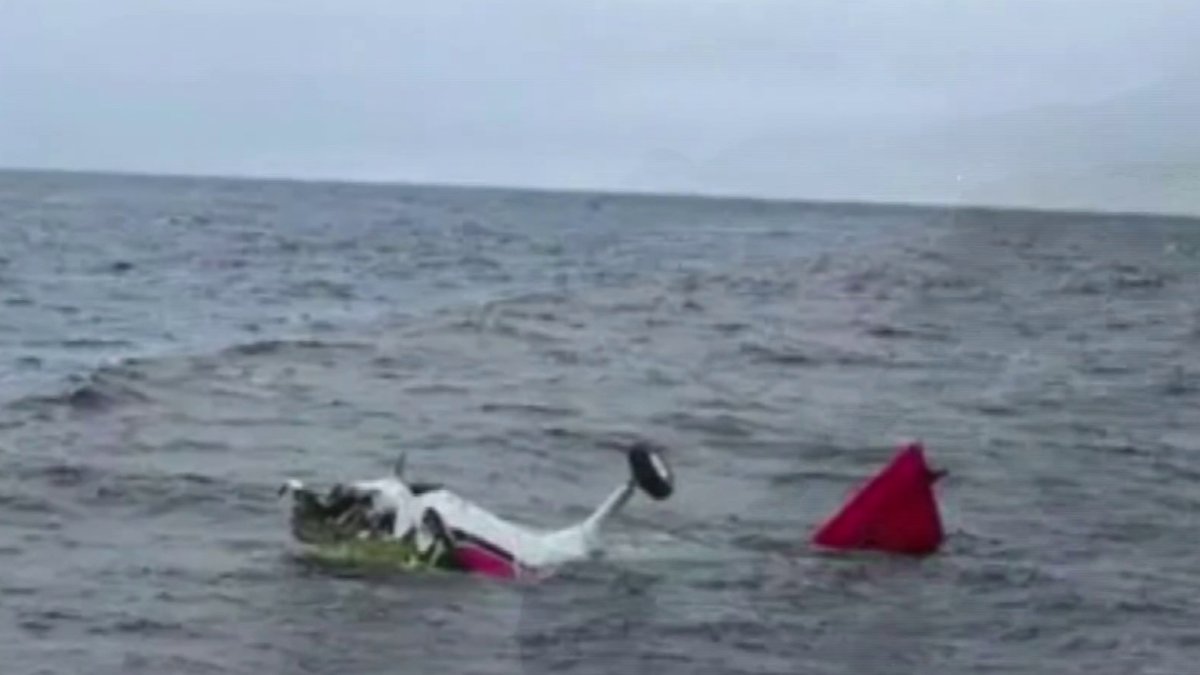 Google co-founder sued for wrongful death stemming from plane crash ...