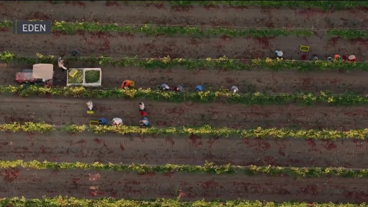 ‘Eden’ documentary to debut at Cinequest – NBC Bay Area