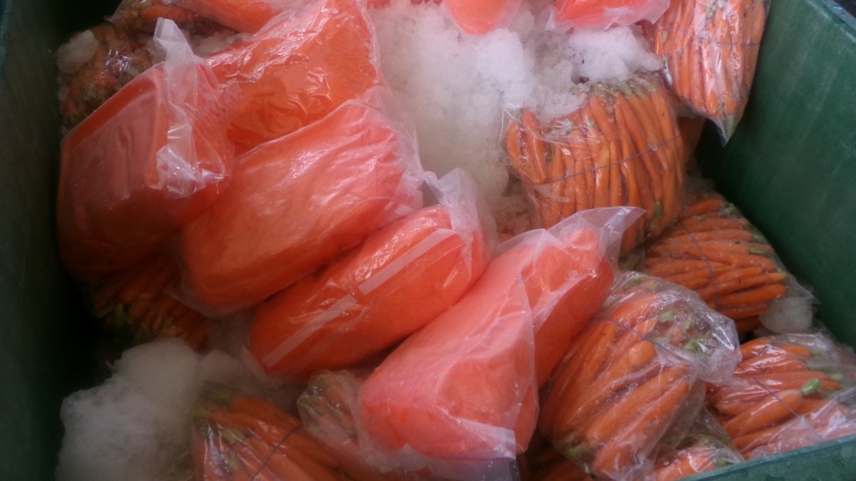 Orange is the new green: CBP seizes millions in meth smuggled in ...