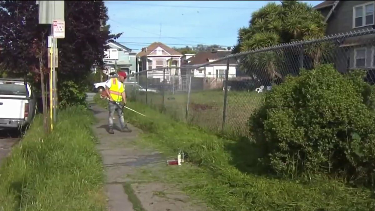 Oakland Fresh: Program aims to tackle blight in city’s most troubled ...