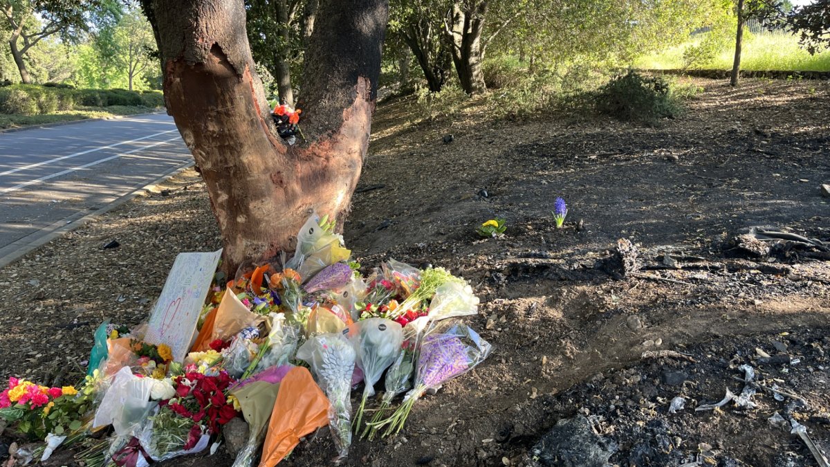 Pleasanton deadly crash victims identified – NBC Bay Area