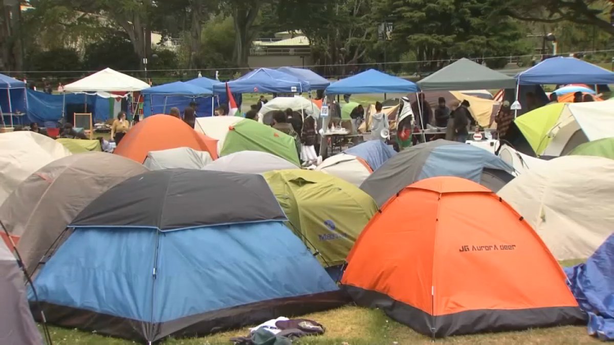 Pro-Palestinian protesters at SFSU receive some concessions from ...