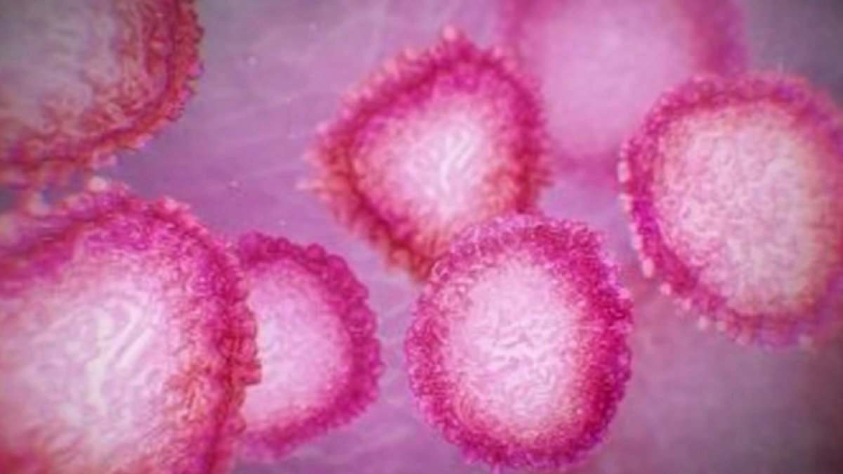 A closer look: New COVID variants lead to uptick in cases – NBC Bay Area