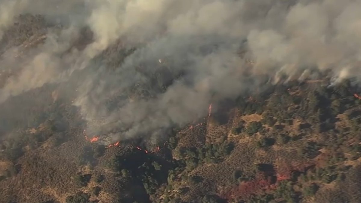 Stanford study shows wildfires impact soil, plant growth – NBC Bay Area