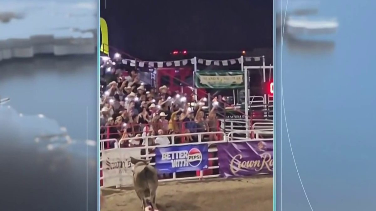 Rodeo bull hops fence at Oregon arena, injuring 3 – NBC Bay Area