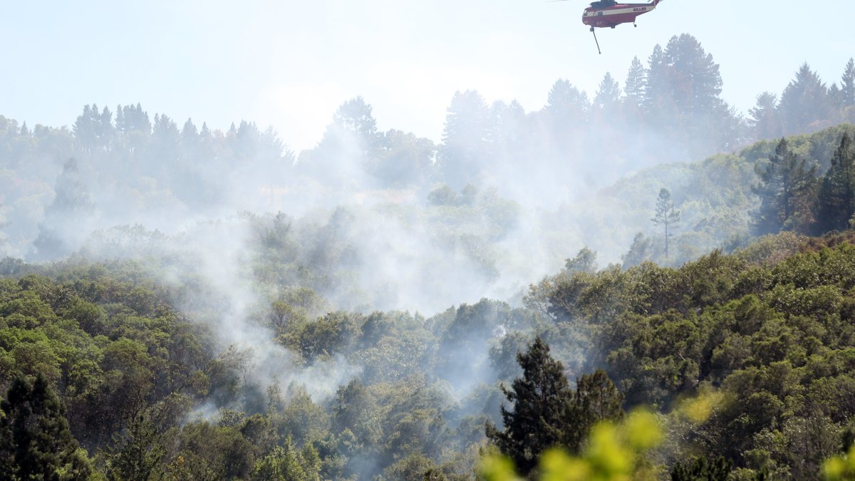 Point Fire in Sonoma County: 80% contained – NBC Bay Area