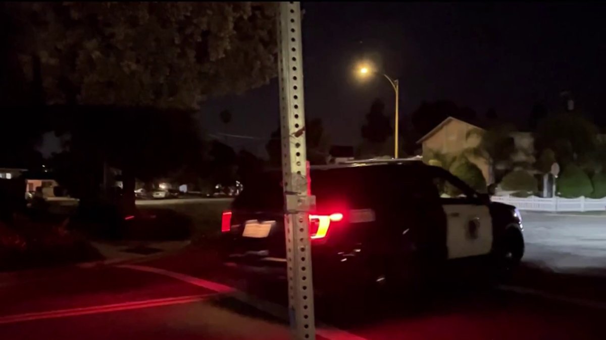 Police respond to reported mountain lion sighting in San Jose – NBC Bay ...