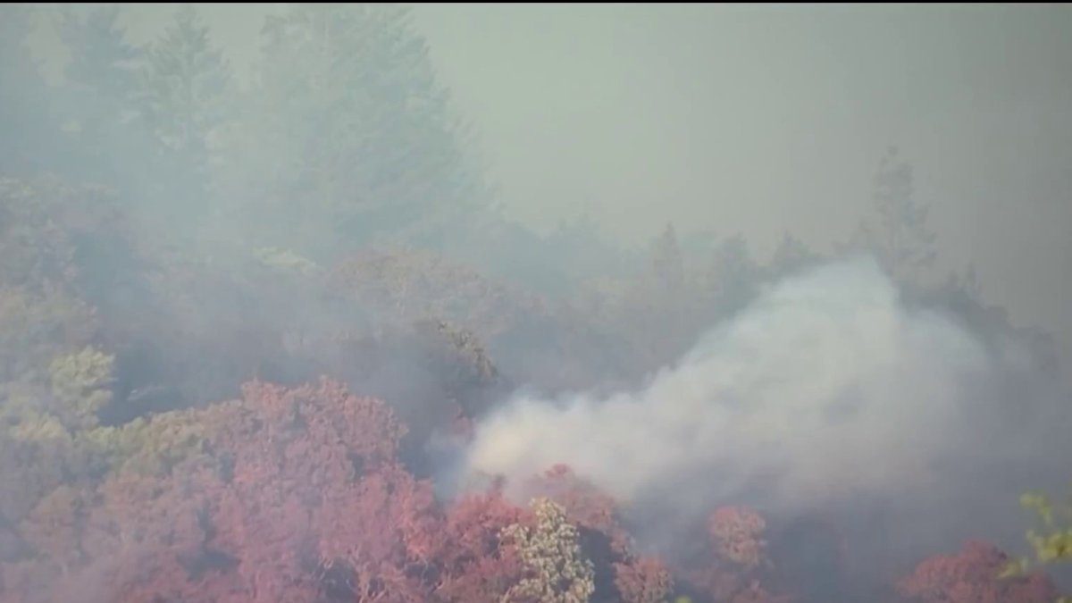 Smoke from Point Fire affecting Bay Area air quality – NBC Bay Area