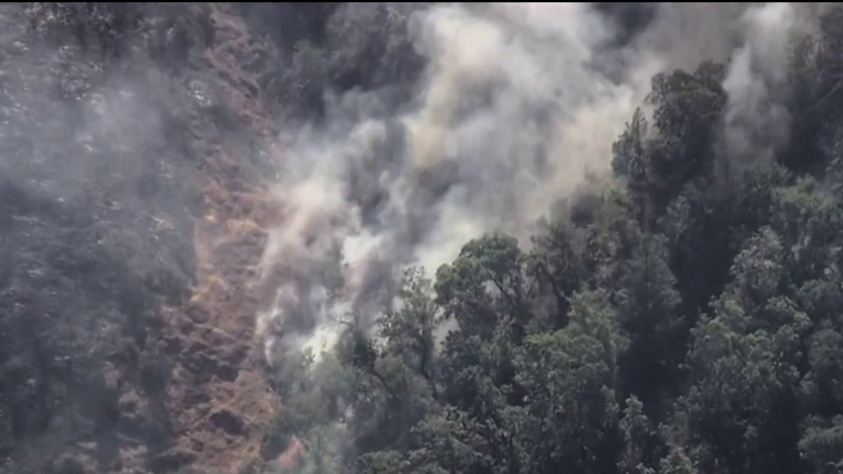 Sonoma County declares local emergency in response to Point Fire – NBC ...