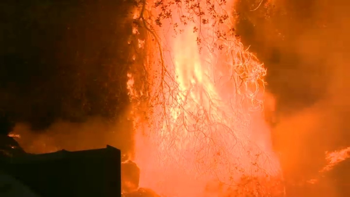 Park Fire in Northern California continues to burn out of control – NBC ...