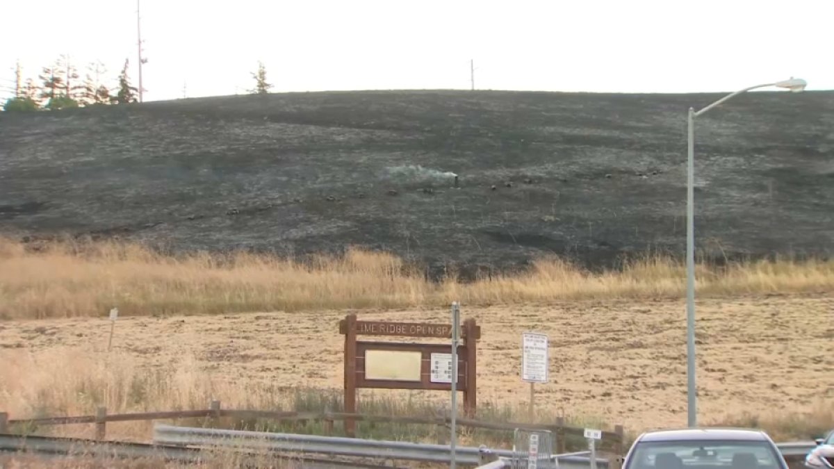 Illegal fireworks possibly involved in two East Bay brush fires – NBC ...