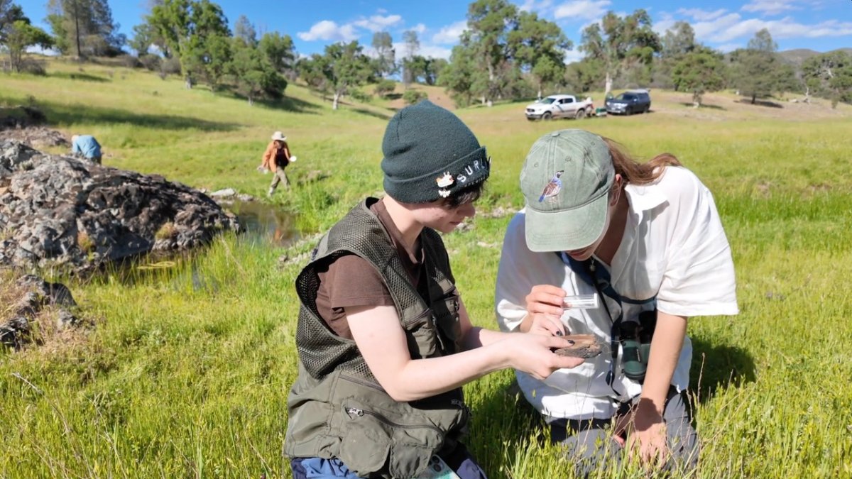 OpenRoad: A new park in Marin and a BioBlitz in the Diablo range (Ep. 97) – NBC Bay Area