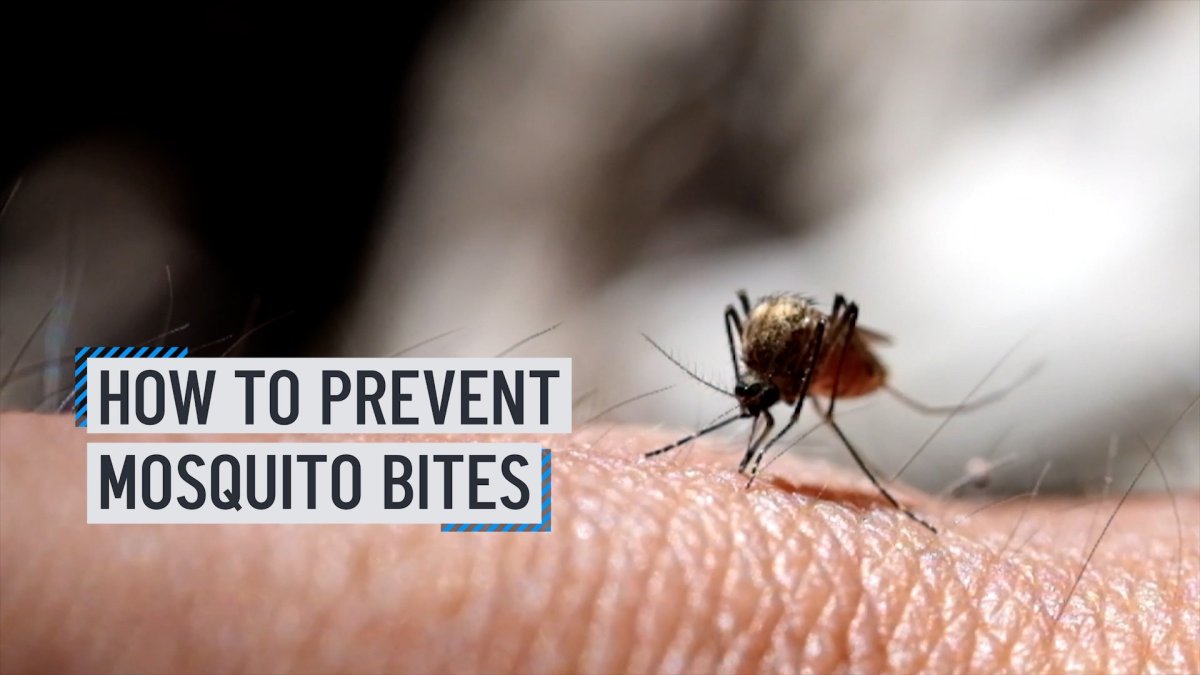 How to prevent mosquito bites – NBC Bay Area