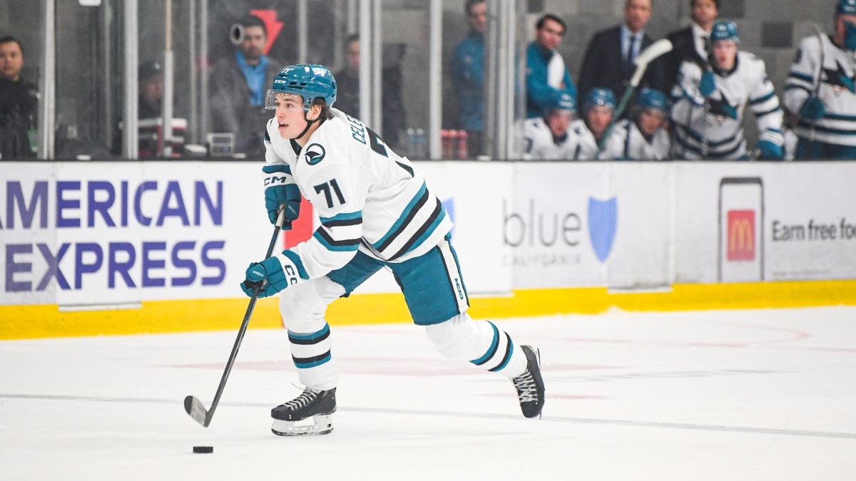 Macklin Celebrini makes practice debut for the San Jose Sharks – NBC ...