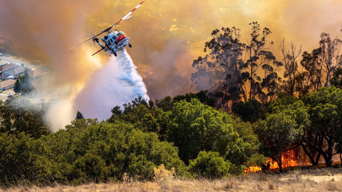 Oakland Hills fire: 85% contained, evacuation orders lifted – NBC Bay Area