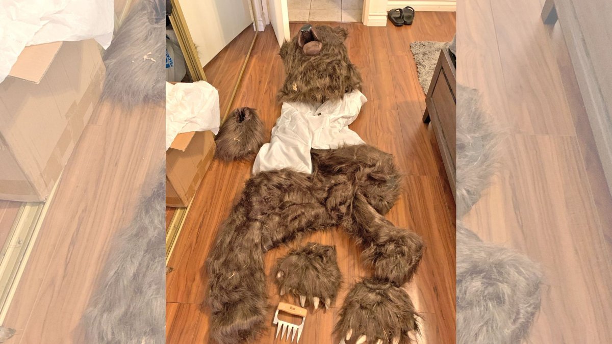 Suspects arrested for faking bear attacks with bear costume – NBC Bay Area