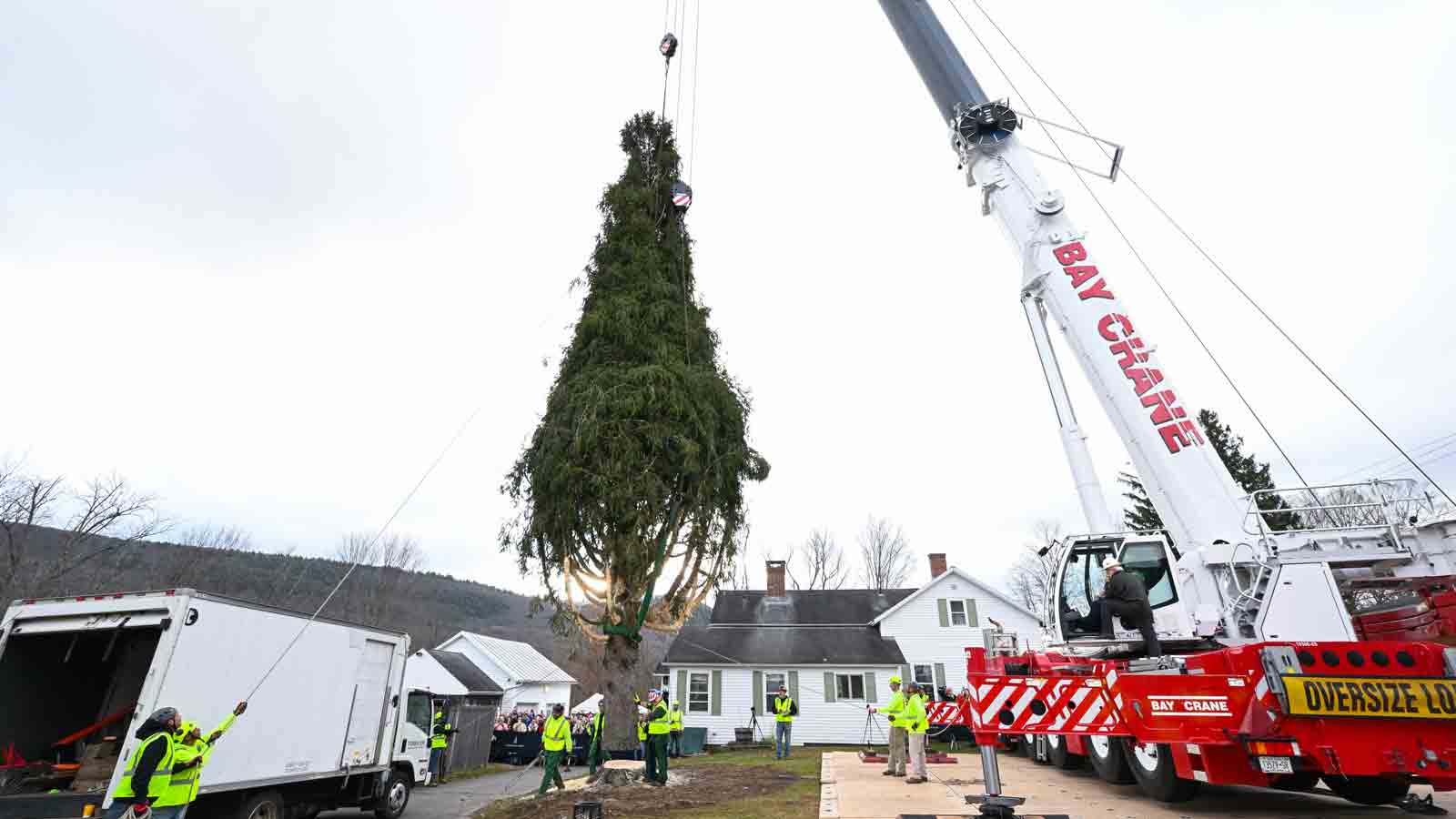 Rockefeller Center Christmas tree: What to know – NBC Bay Area