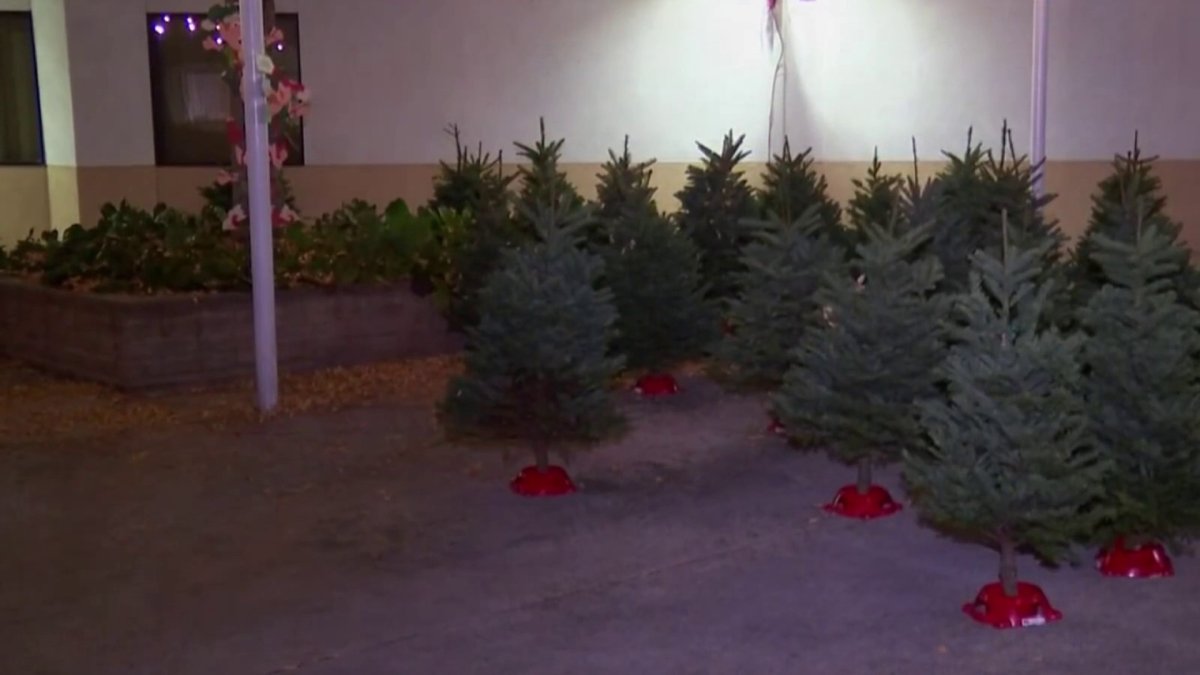 Bay Area organizations give Christmas Trees to South Bay families – NBC ...