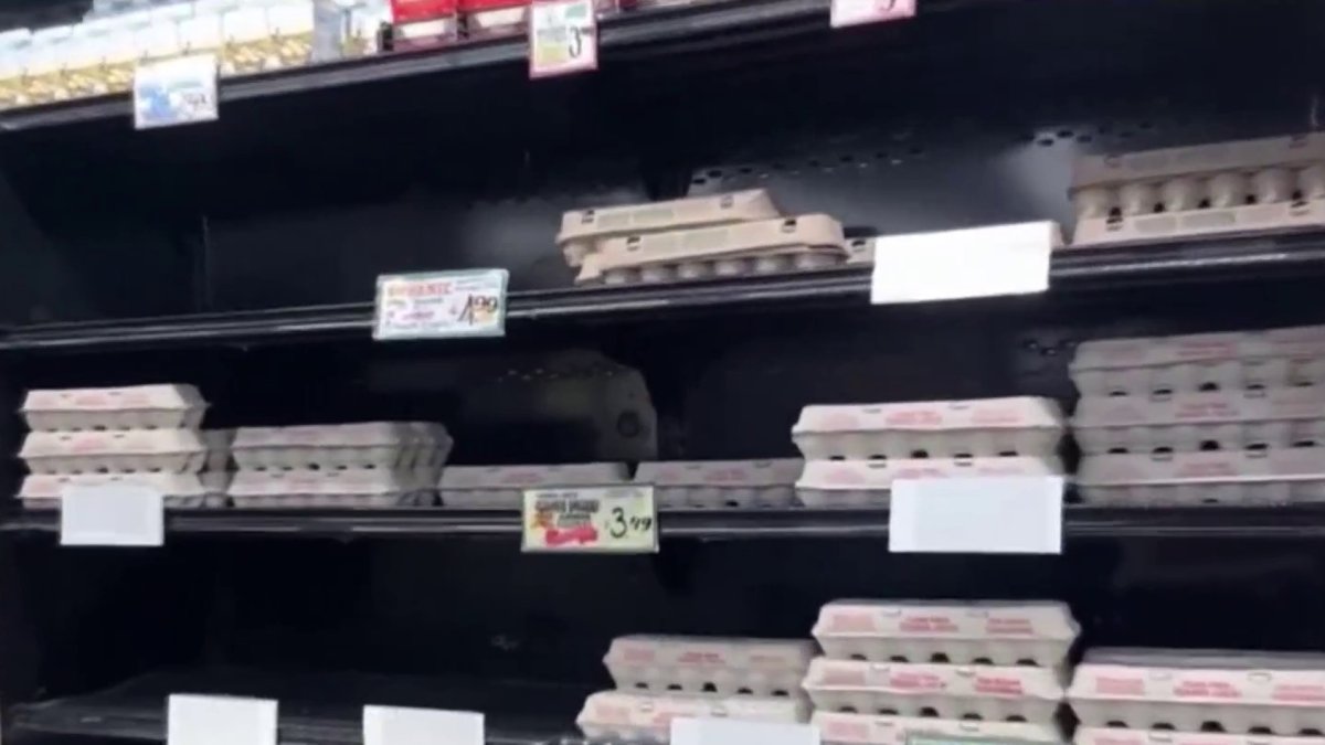 Egg shortage: What to know – NBC Bay Area