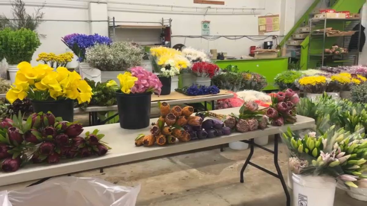 San Francisco Flower Market moving and shifting its business plan – NBC ...