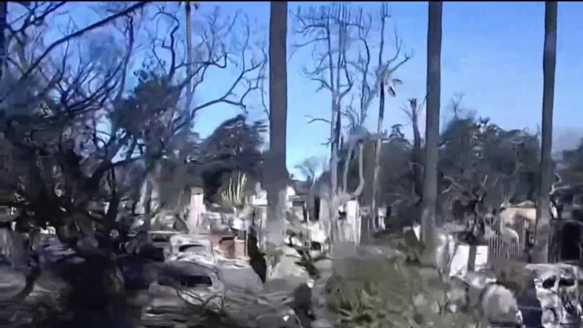 How To Support Southern California Wildfire Victims And Not Scammers