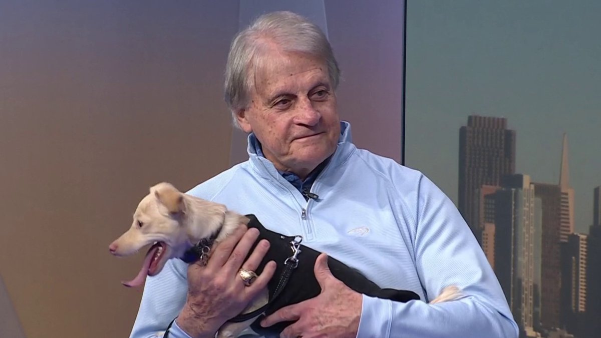 Baseball star Tony La Russa launches animal welfare nonprofit – NBC Bay ...
