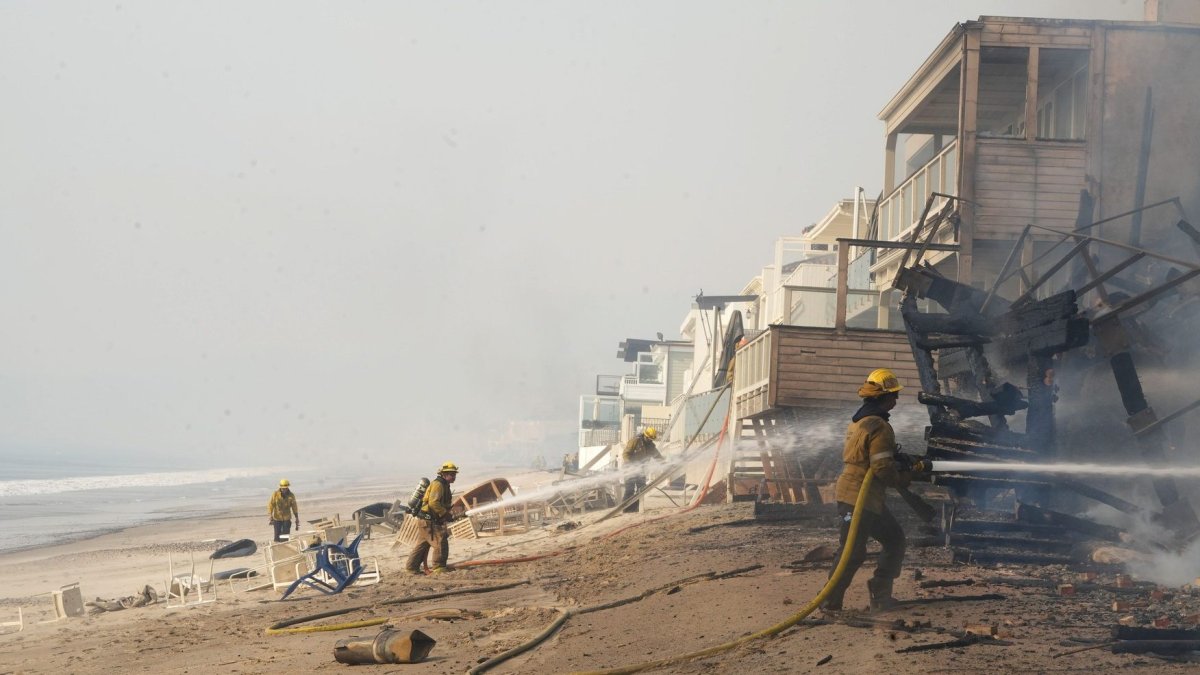 Conservatives blame California wildfires on a small fish, DEI, more ...