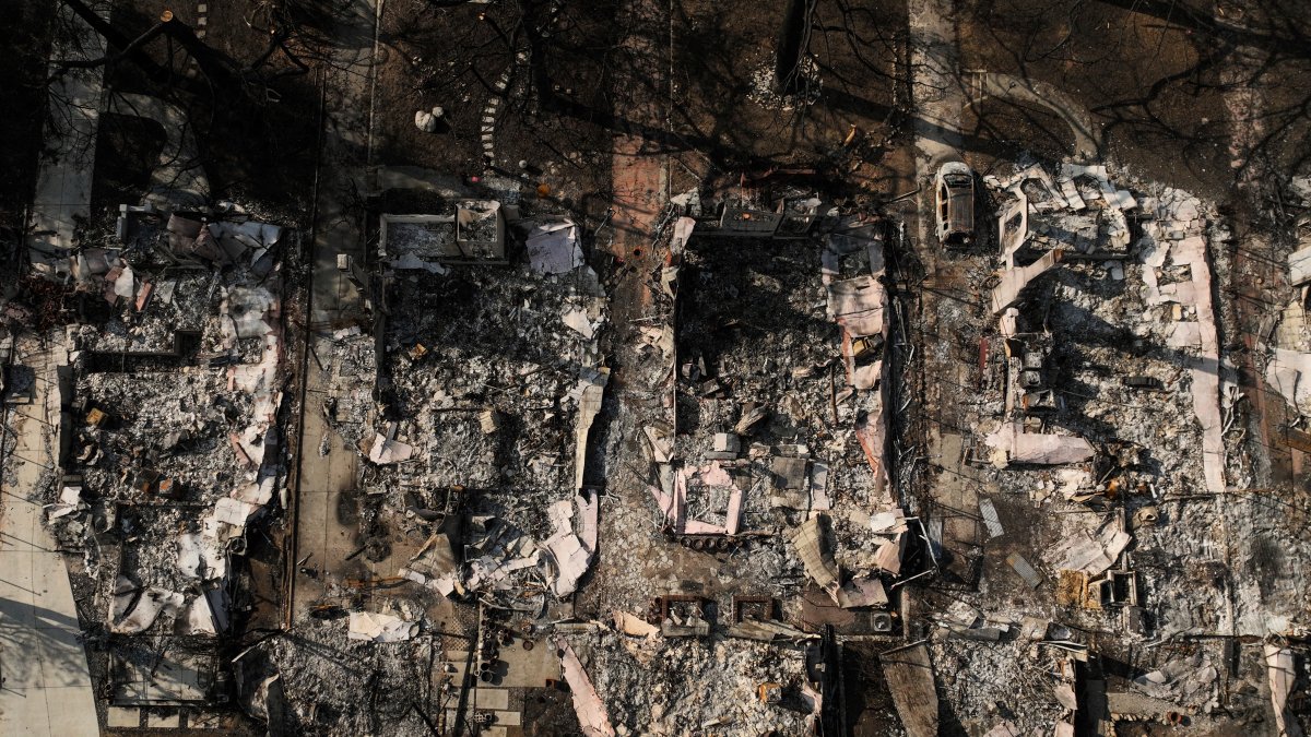 How photos lost in disasters return home – NBC Bay Area