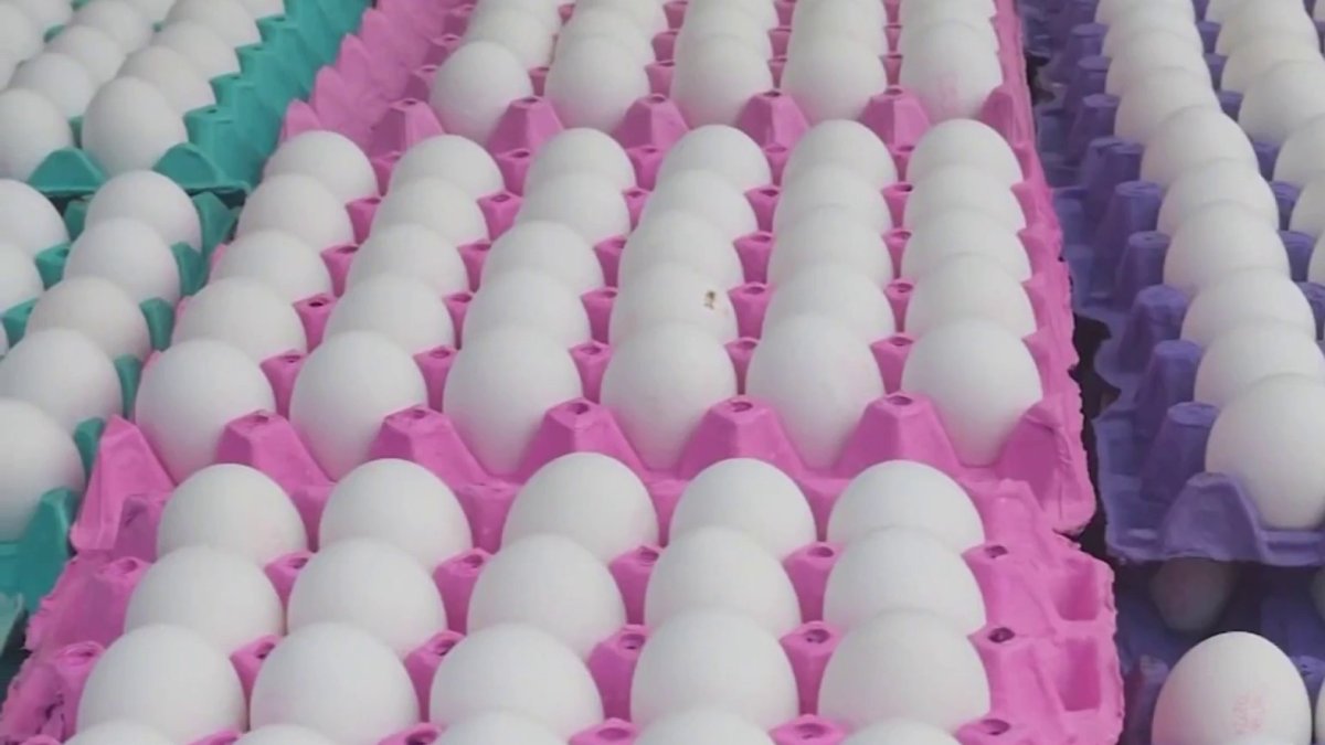 Consumers still dealing with egg shortage – NBC Bay Area