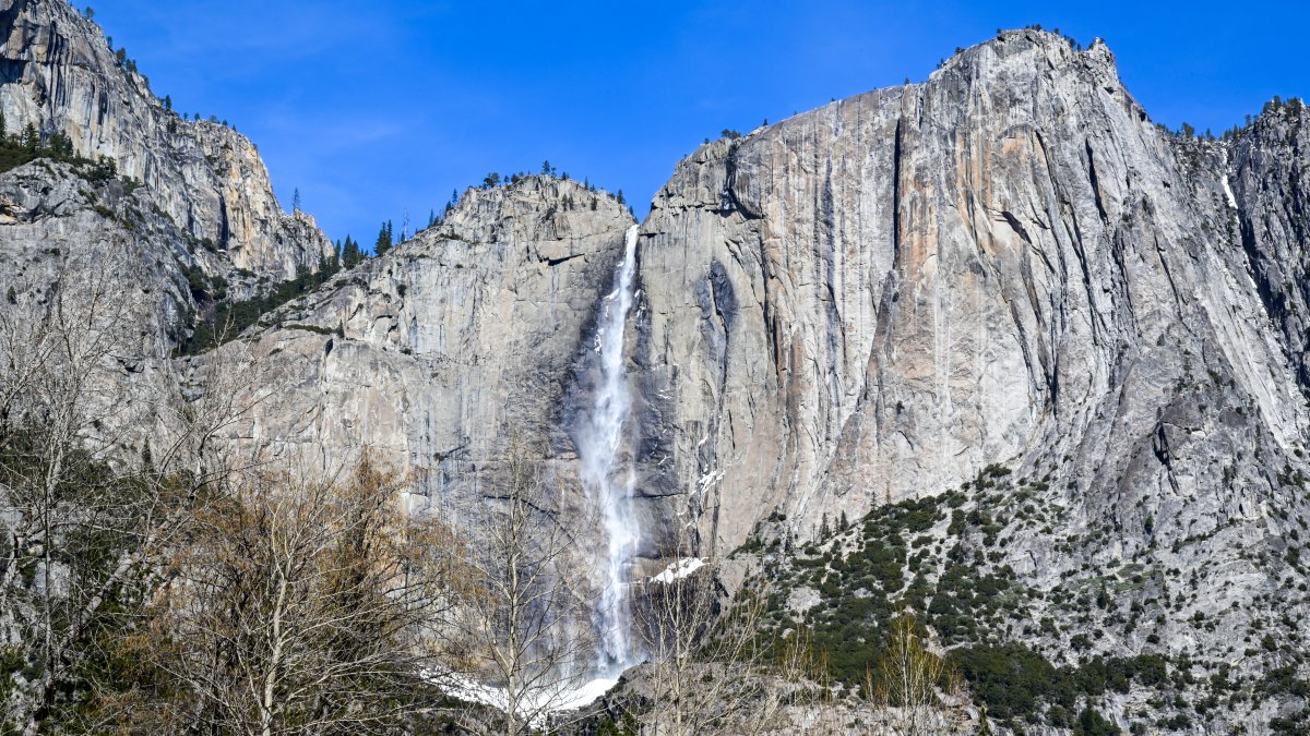 Fired employees fear beloved Yosemite National Park will lose its ...