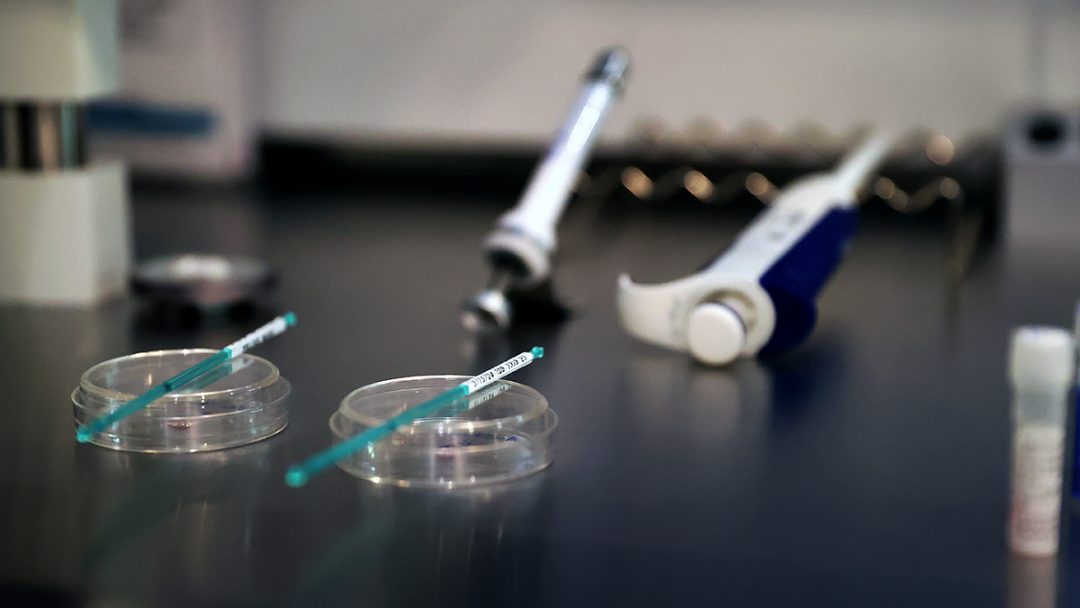 Trump signs order to study how to expand IVF – NBC Bay Area