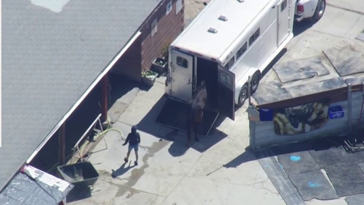 Horse racing ends at Alameda County Fairgrounds – NBC Bay Area