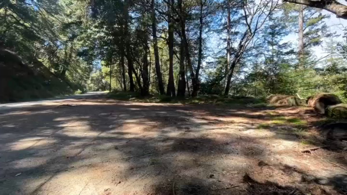 Man arrested in Santa Cruz Mountains double homicide – NBC Bay Area