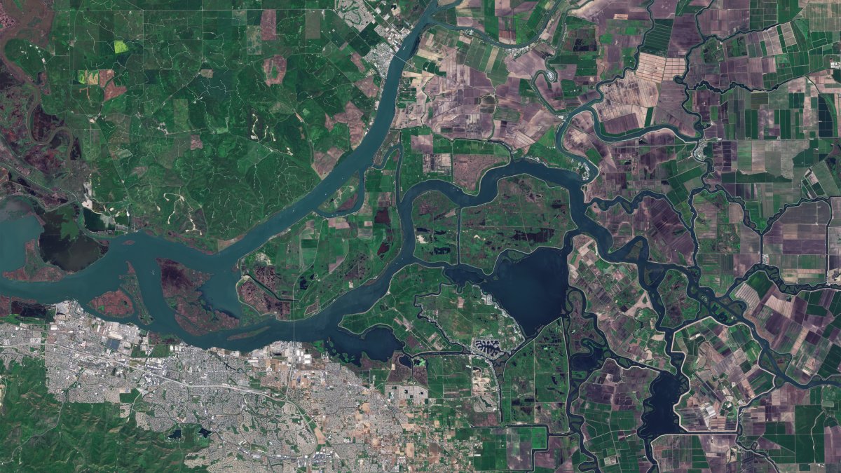 California Delta levees are at risk of floods, repairs could cost $3 ...