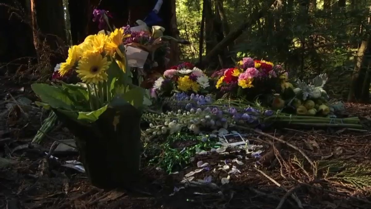 Victims in deadly Marin County crash identified – NBC Bay Area