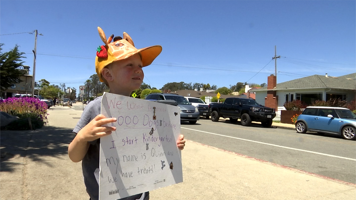 Day care teacher aids 4-year-old’s quest to meet 1,000 dogs before he ...