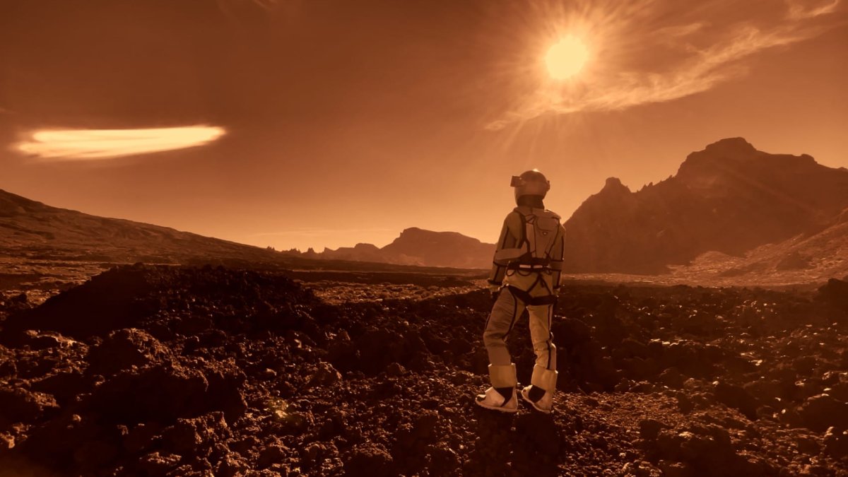 The challenges facing Elon Musk and NASA in sending humans to Mars ...