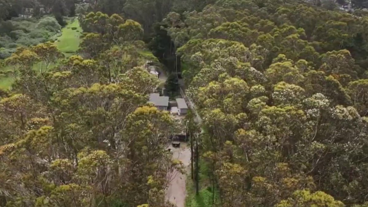 Montara residents alarmed by fire threat from overgrown Caltrans land – NBC Bay Area