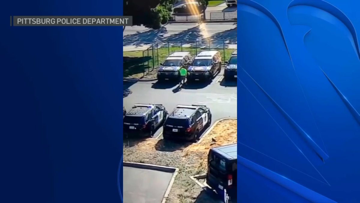 Caught on camera: Suspect throws rocks at Pittsburg police cars – NBC ...