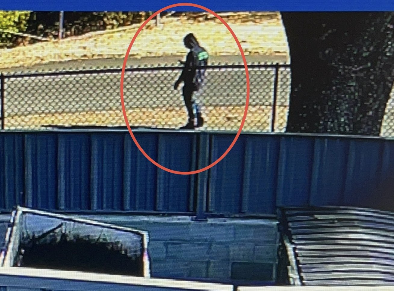 Search for sexual assault suspect in San Jose – NBC Bay Area