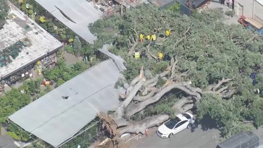 Peninsula – NBC Bay Area