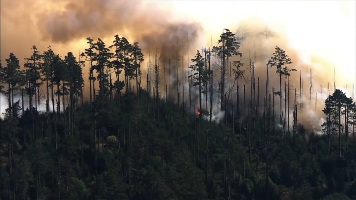 Why wildfire fuels matter more in a warming climate – NBC Bay Area