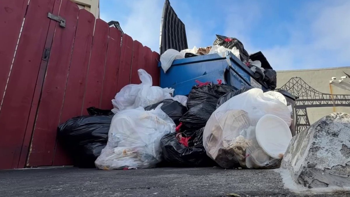 Public health impact of trash pile-up due to sanitation workers strike ...