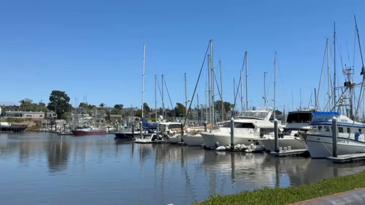 USGS weighs in on the Bay Area’s earthquake outlook – NBC Bay Area