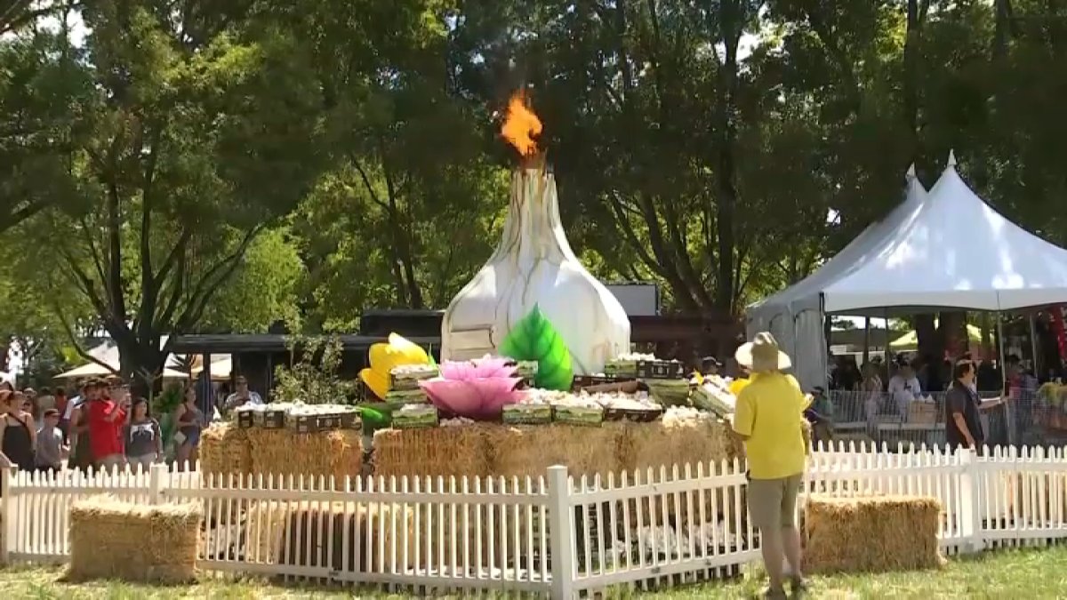 Gilroy Garlic Festival returns this weekend – NBC Bay Area