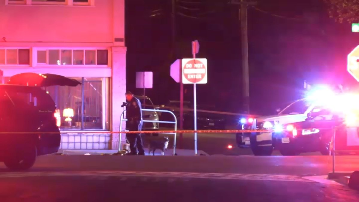 Woman shot, killed while walking dogs in San Leandro – NBC Bay Area