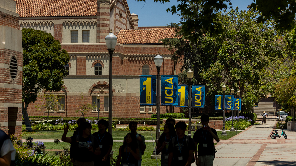 Canceled UCLA research grants total $584 million – NBC Bay Area