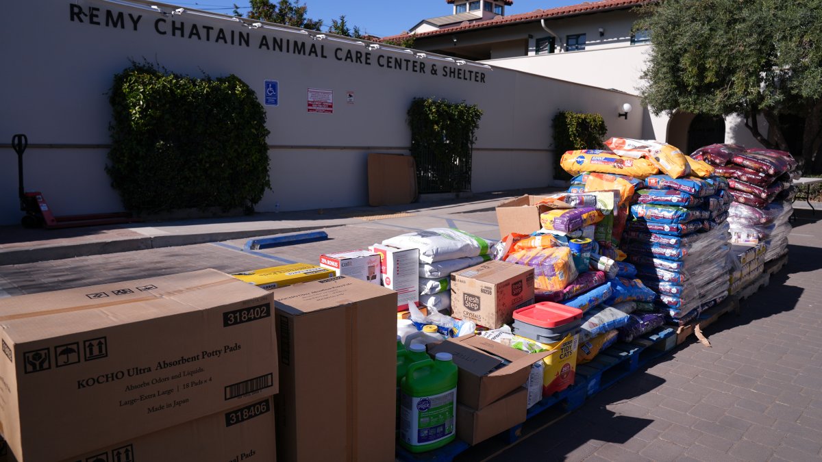 Pasadena Humane still caring for displaced pets after wildfires – NBC ...